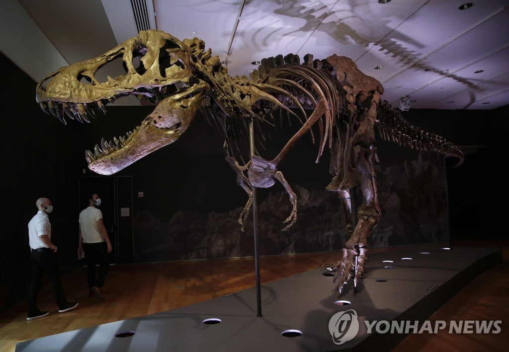 `가장 완벽한 티라노사우루스 화석`…368억원 경매 `최고가` 낙찰 한국경제